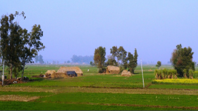 Rural leads recovery: FMCG pack shows 14.2% growth in Bharat